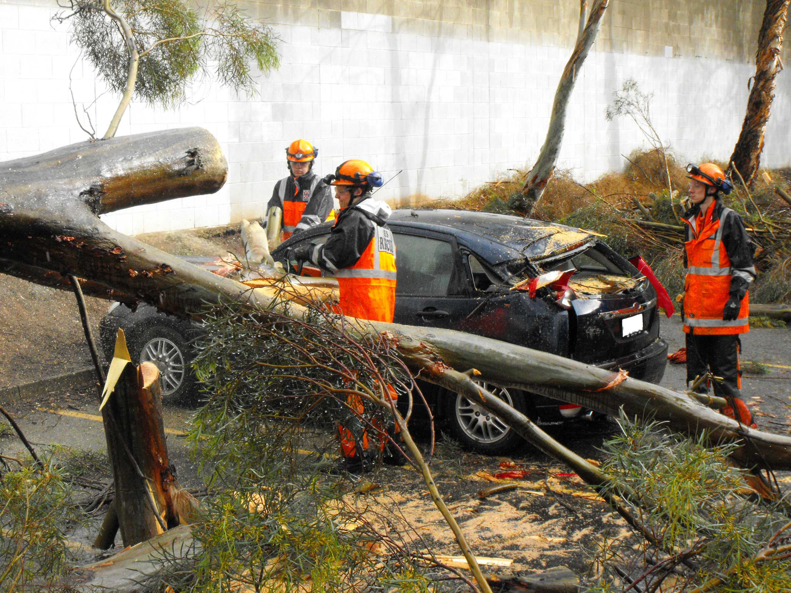 Storm aftermath: Who is liable when a tree falls causing damage? - ABC News