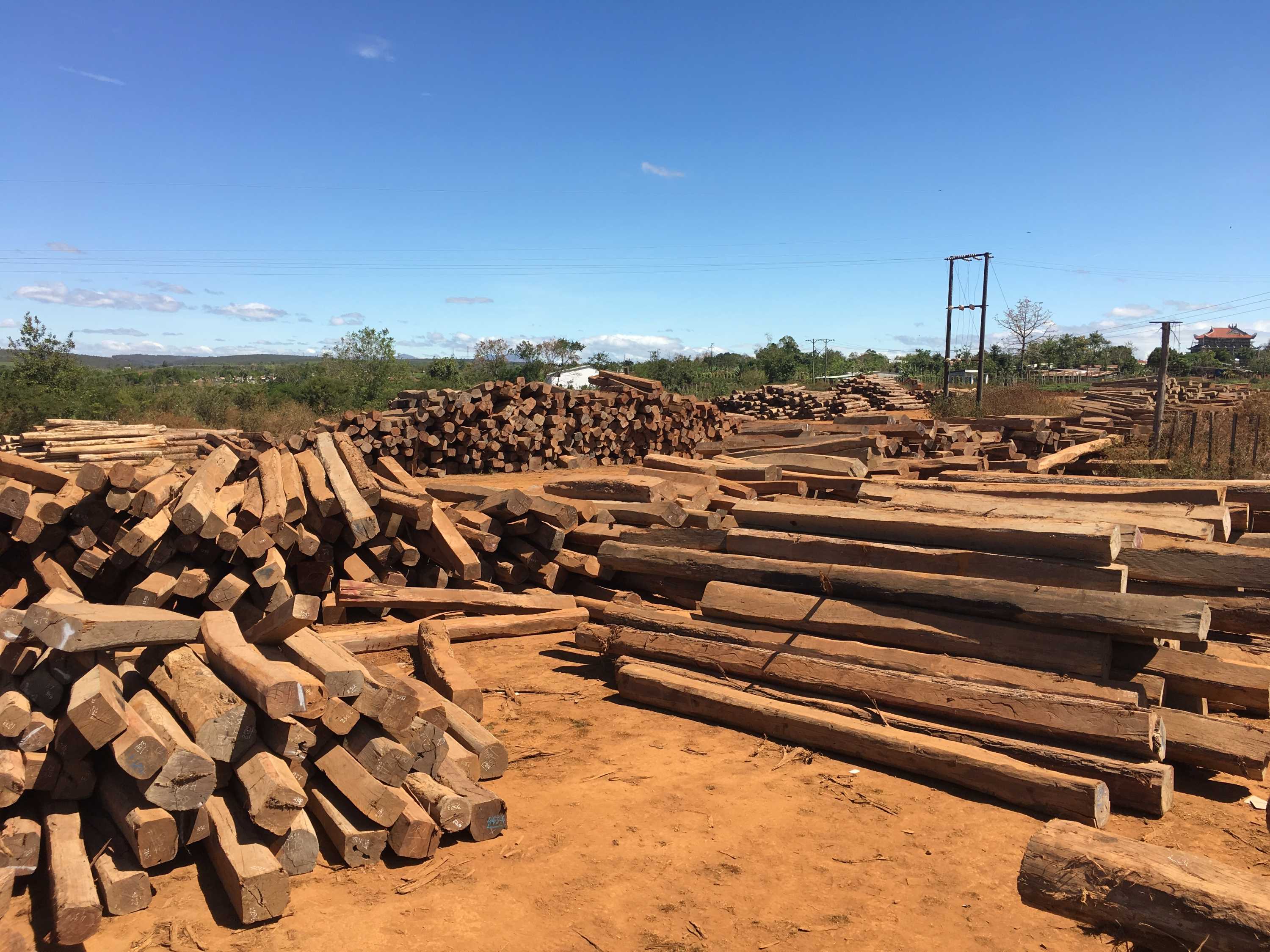 Illegal logging operation in Cambodia, Vietnam prompts demand for ...