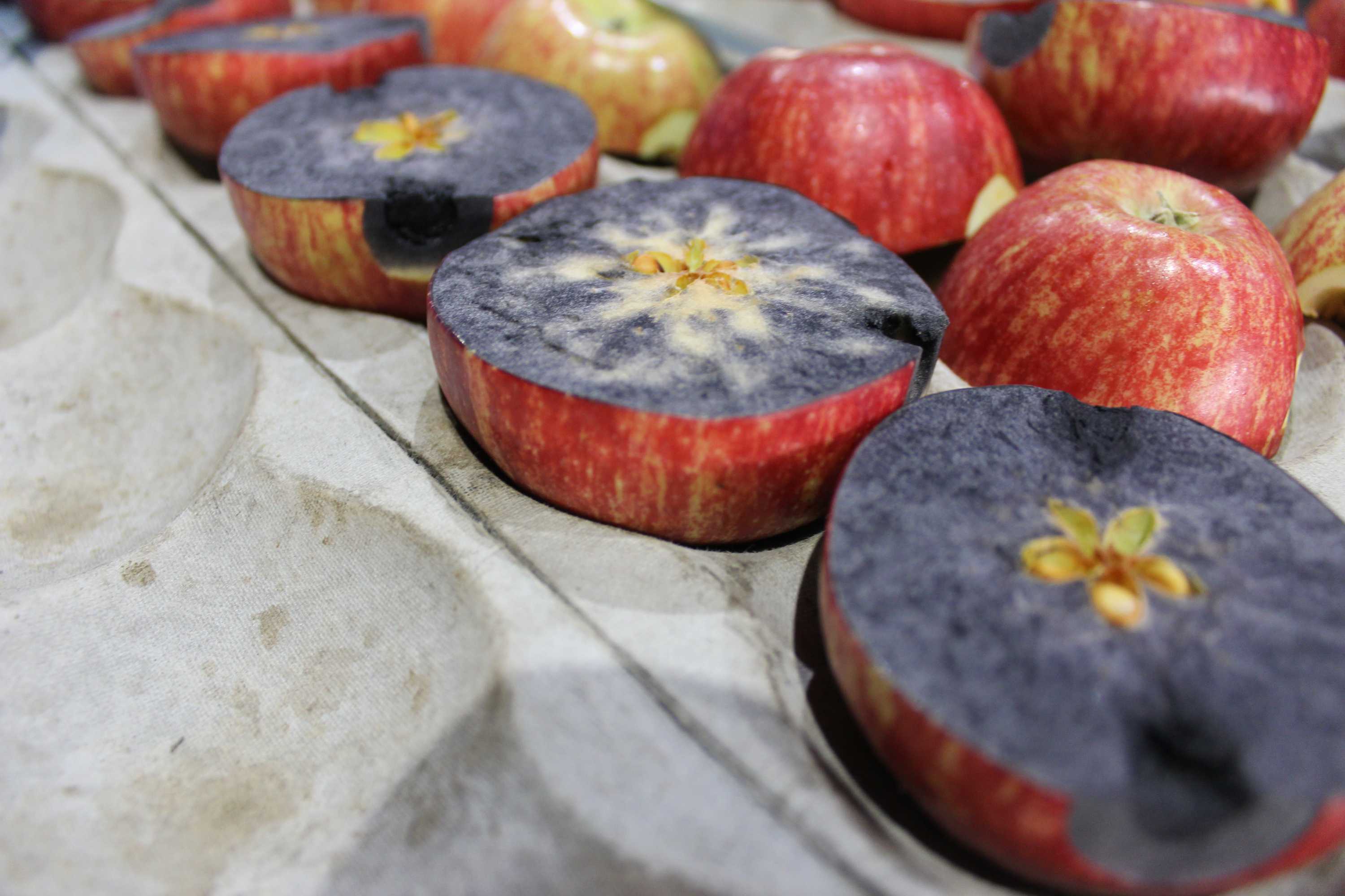 Apple industry introduces measures to stop consumers from biting into ...