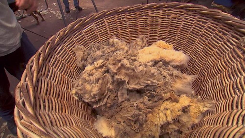 Wool Waste: Low-grade wool being transformed into high-value products ...