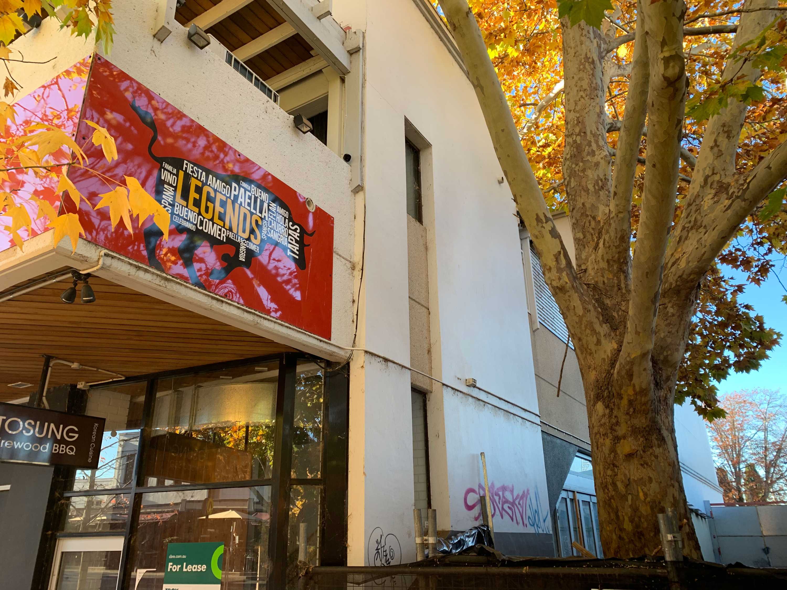 Canberra tree threatening multi-million dollar Manuka hotel is just a ...