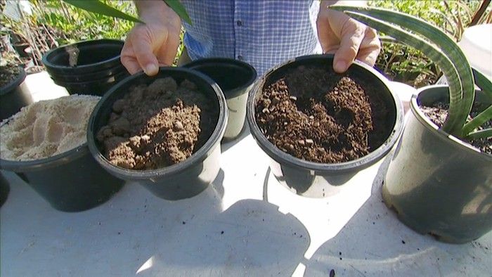 Picking Potting Mix - Gardening Australia
