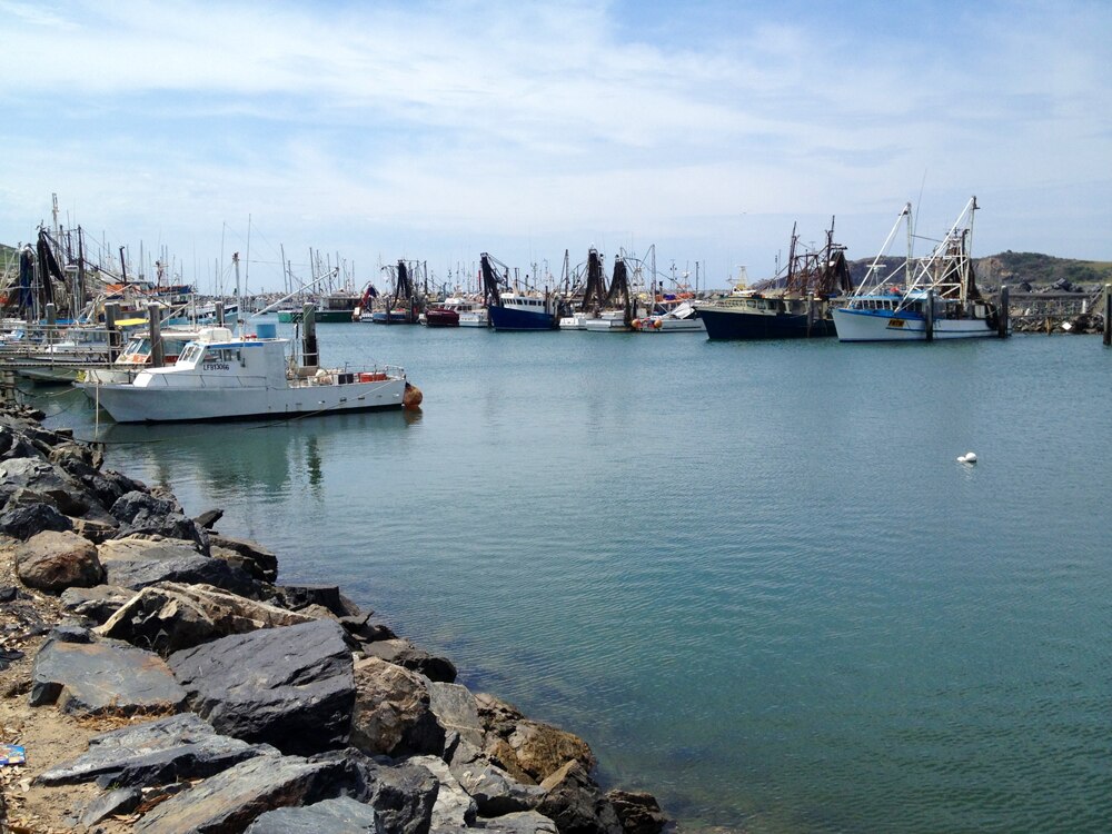 Fishing Club handed six month lifeline: Coffs Harbour - ABC News