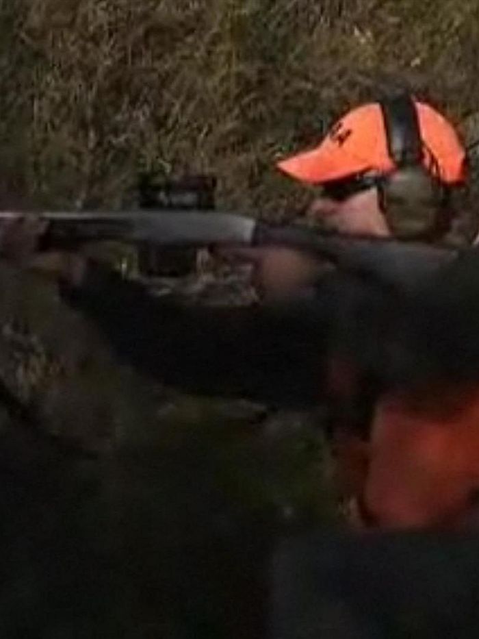 Child hunters allowed out alone under proposed law changes - ABC listen