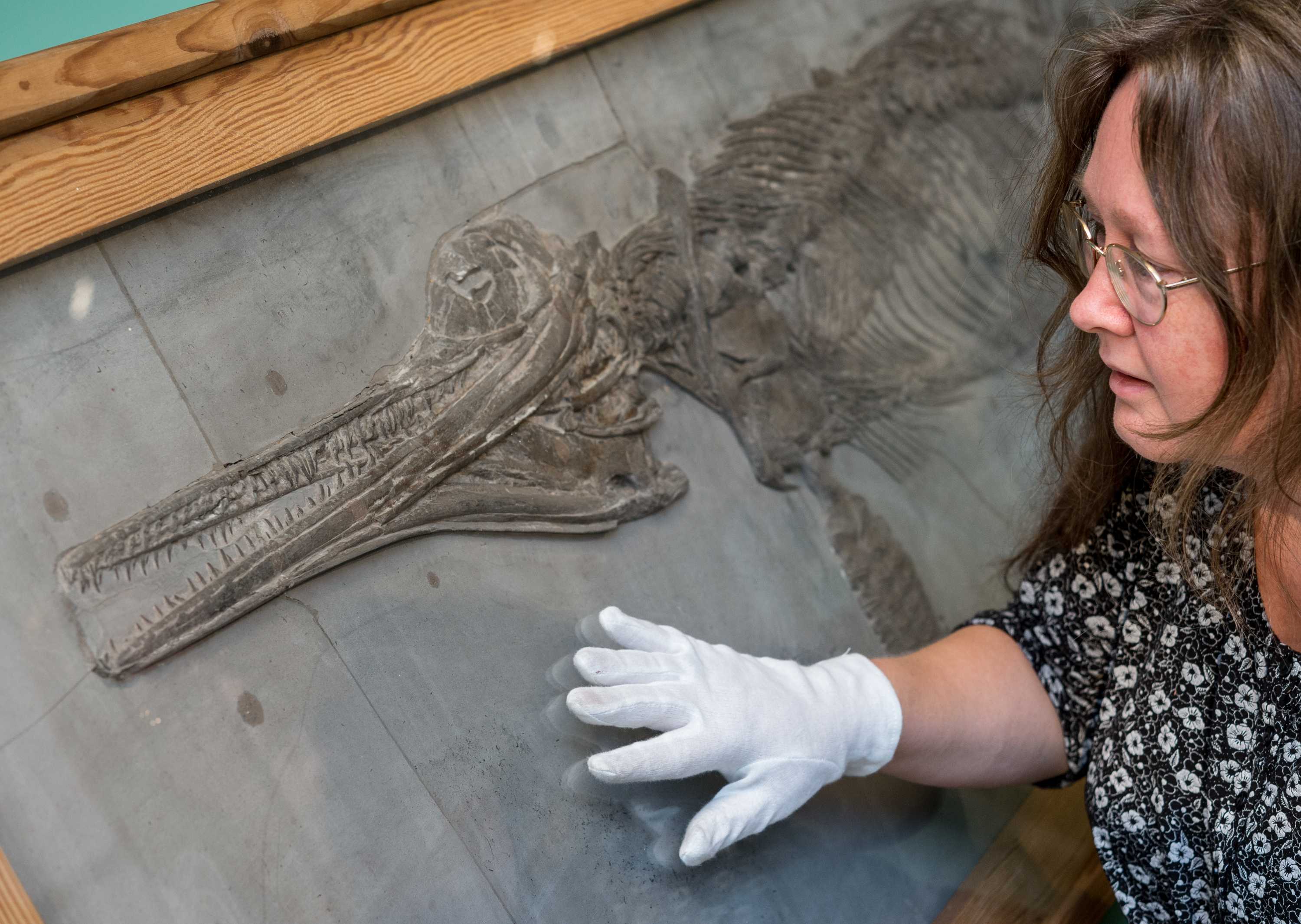 Mary Anning inspired 'she sells sea shells' — but she was actually a ...