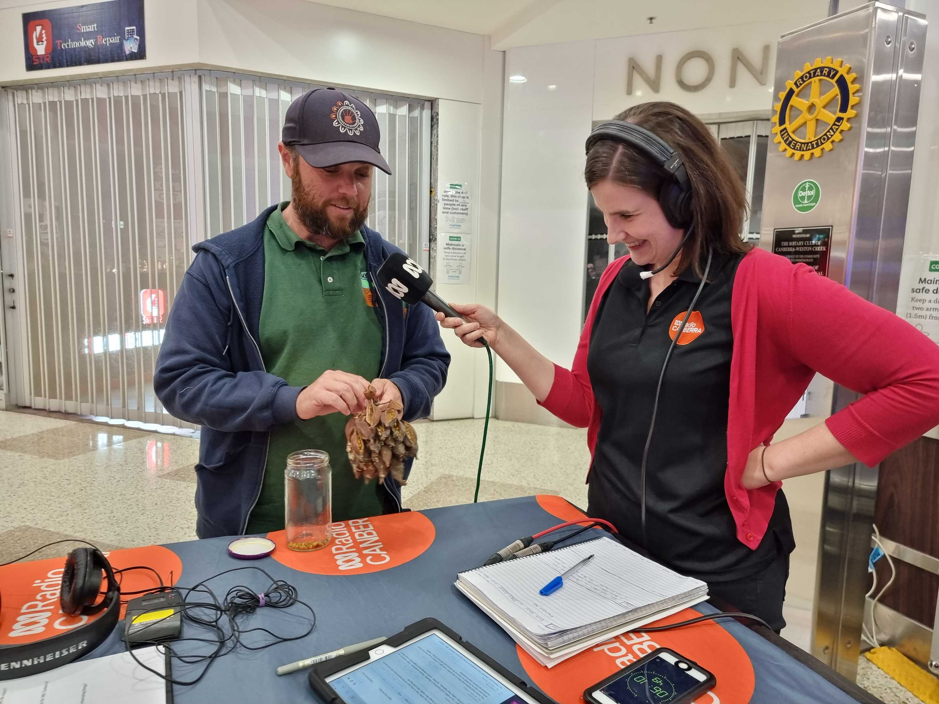 Pop! goes the Kurrajong tree - ABC listen