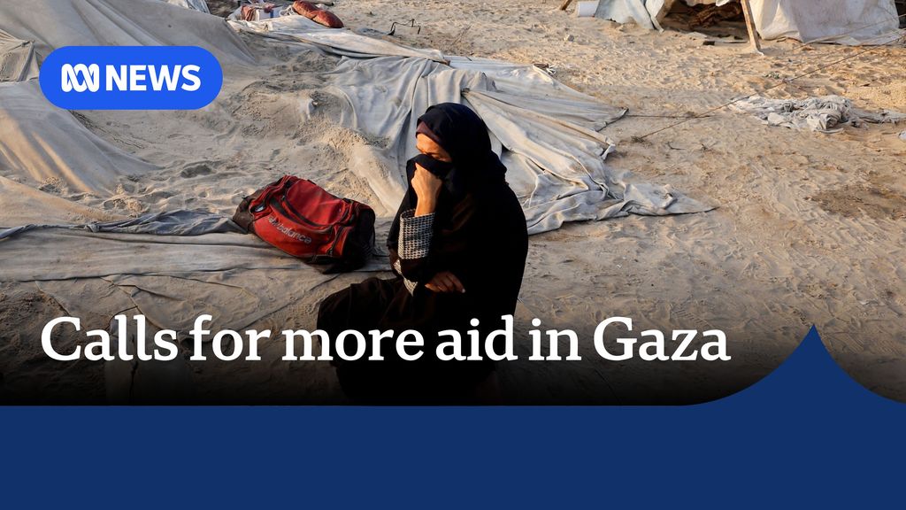 Aid organisations call for greater international pressure for Gaza ...