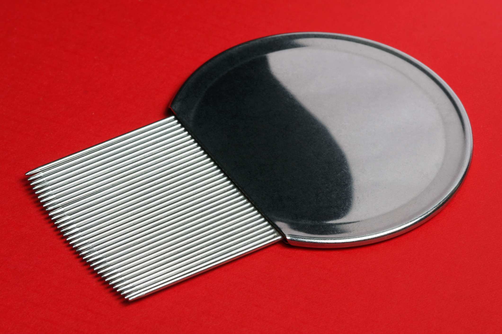 Seven myths about head lice exposed. Plus how best to treat and prevent ...