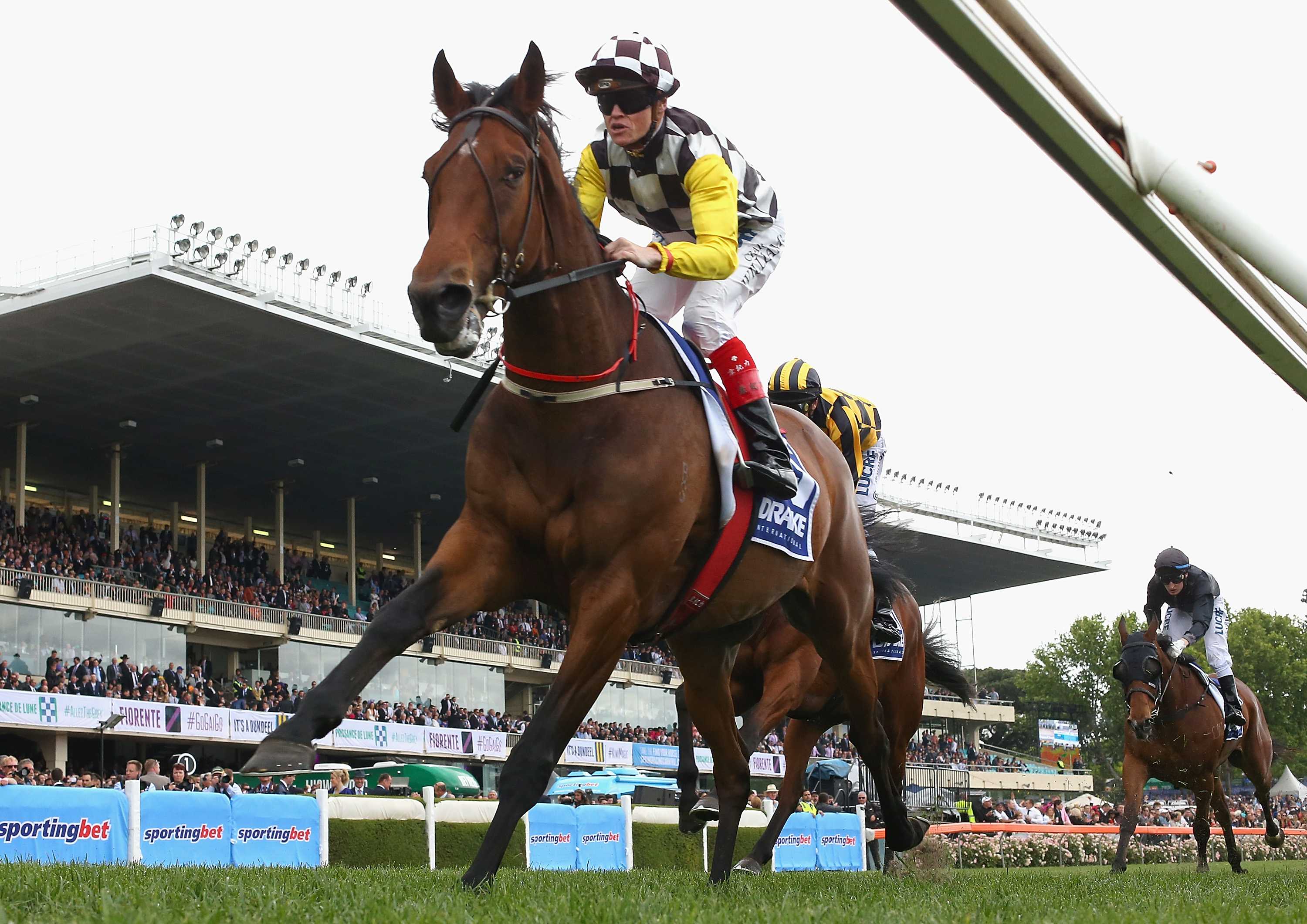 Melbourne Cup dream alive for Bart Cummings after Precedence wins at ...