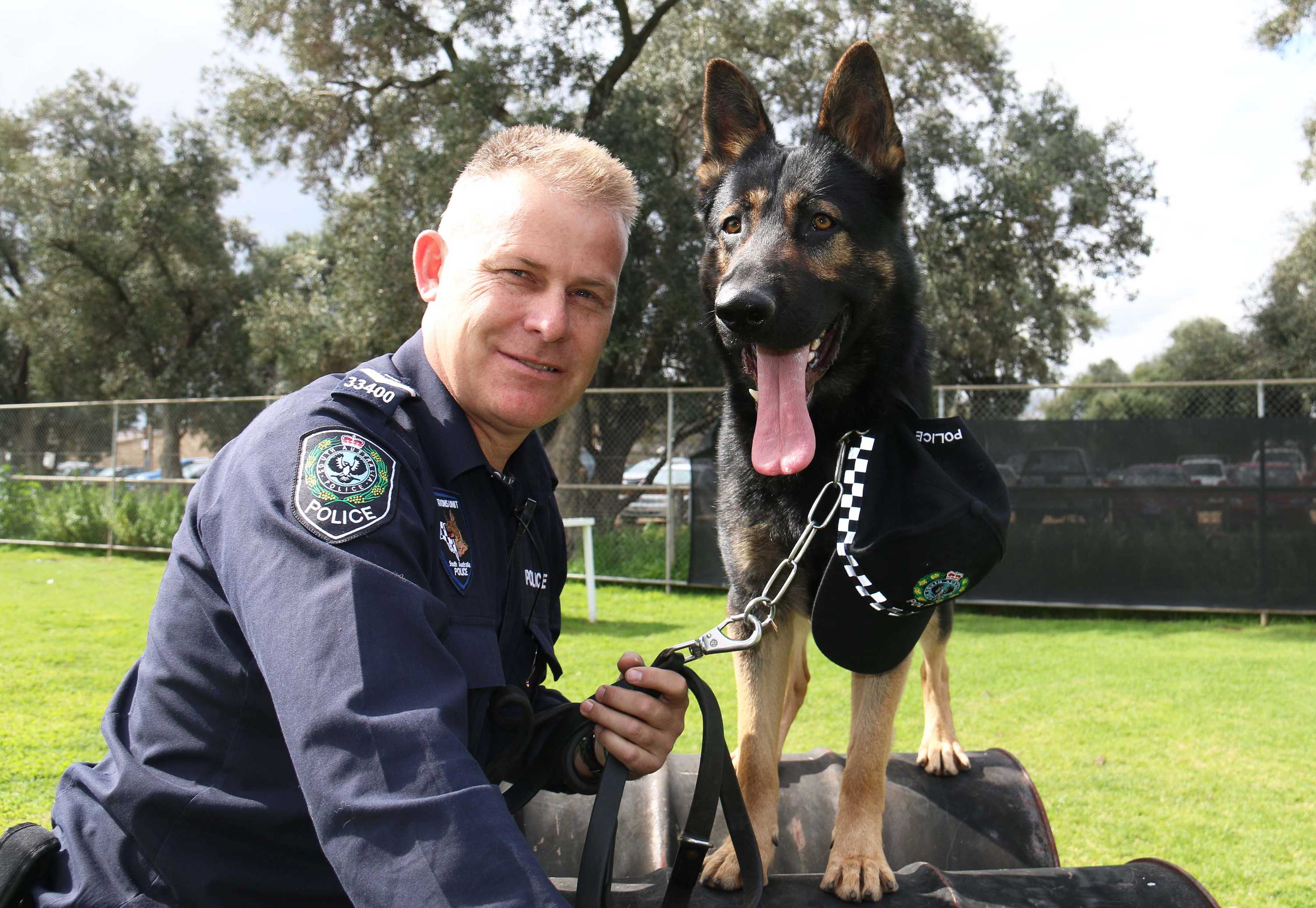 Young dogs 'full of testosterone' join SA police force as trained ...