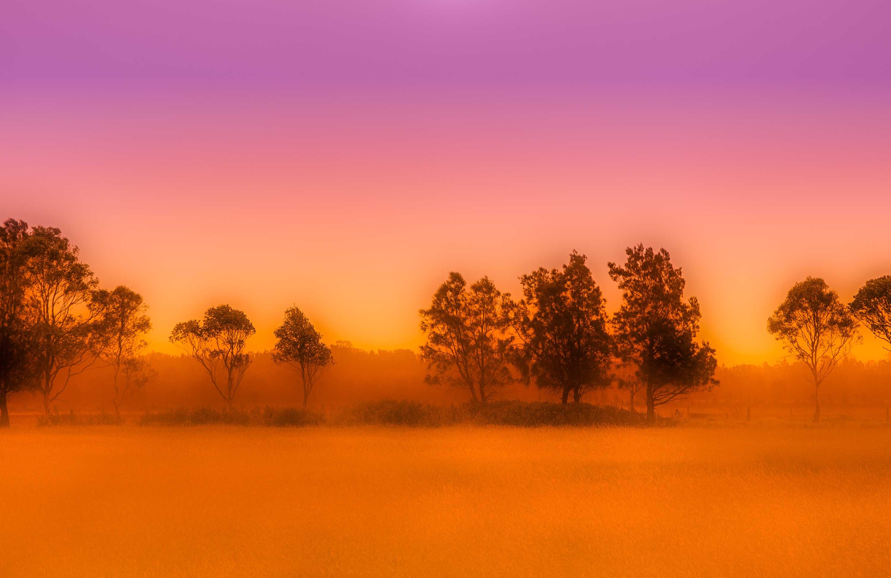 Faces Behind the Music: Wayne Budge exhibition preserves the DNA of ...