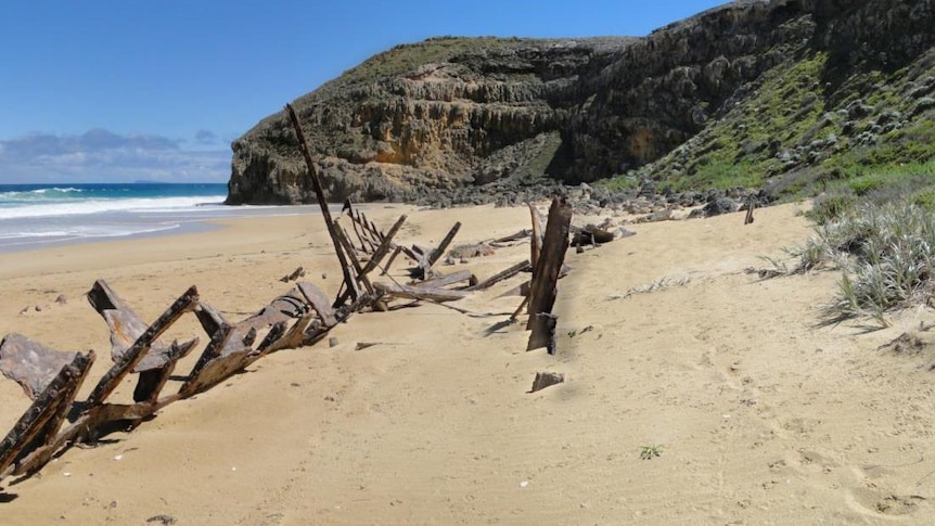 Century-old shipwreck has emerged on NSW beach - ABC News Century-old shipwreck has emerged on NSW beach - ABC News