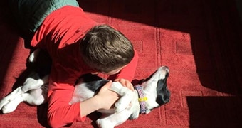 How Temple Grandin's autism gave her a 'cow's-eye view' of the world ...