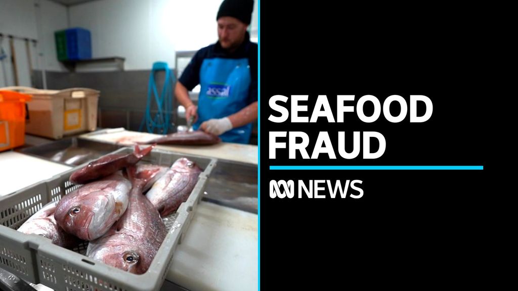 Scientists track origins of seafood in fight against fraudulent labels ...