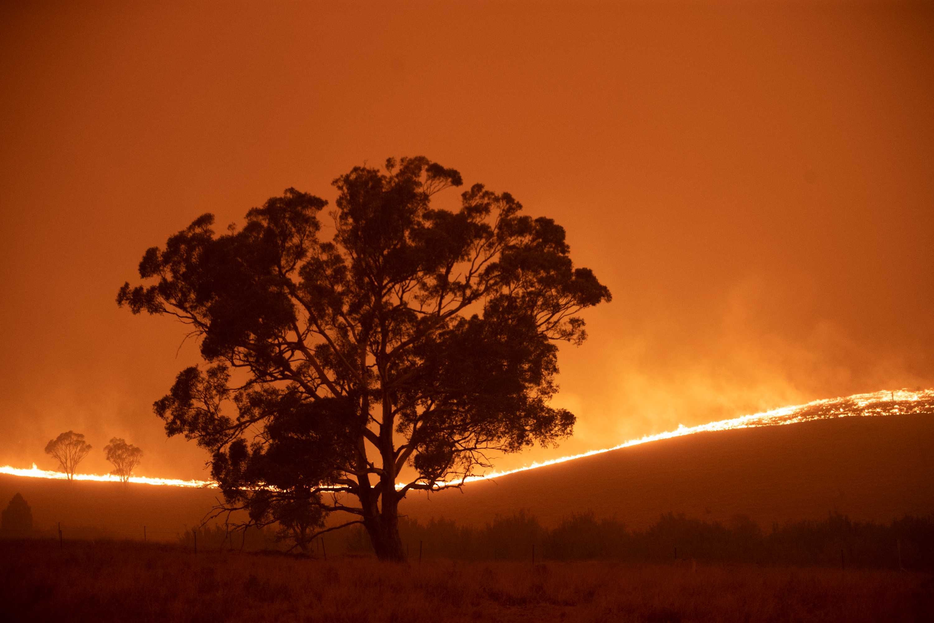 The history of fire in Australia — and how it can help us face the ...
