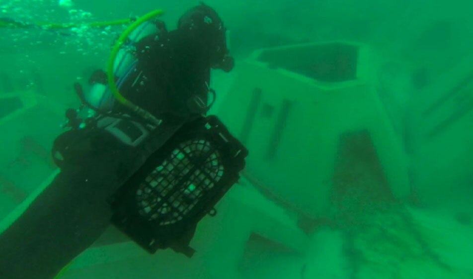 World-first ocean abalone farm in WA sparks disease contamination ...