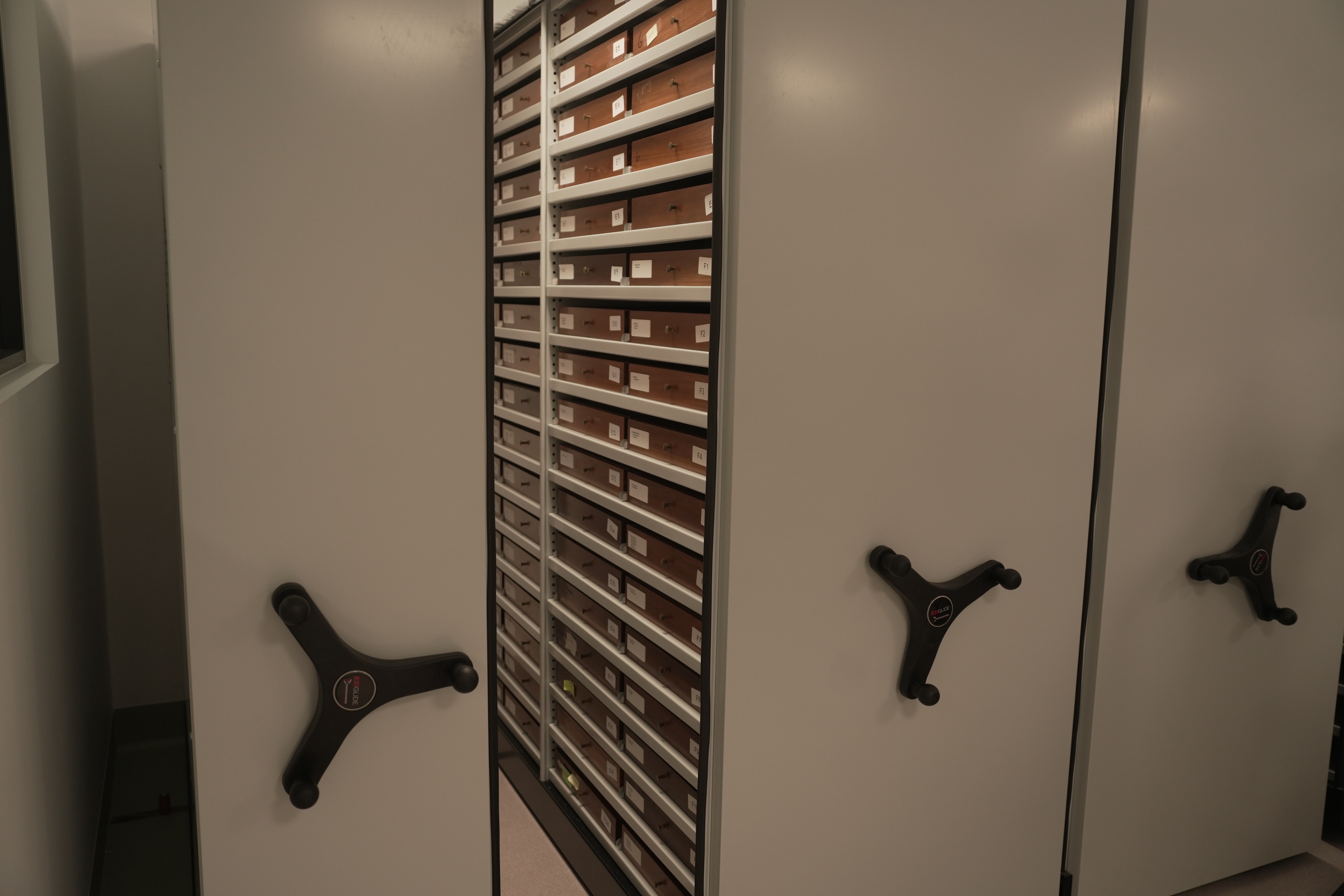 NT insect collection opens doors to citizen scientists to share ...