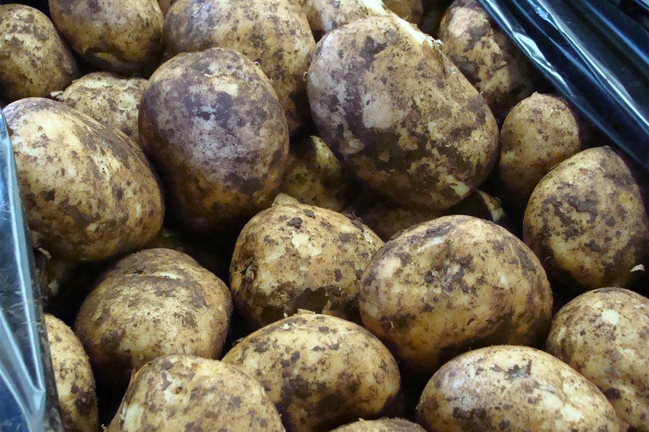Renewed calls to abolish the WA potato marketing system - ABC News
