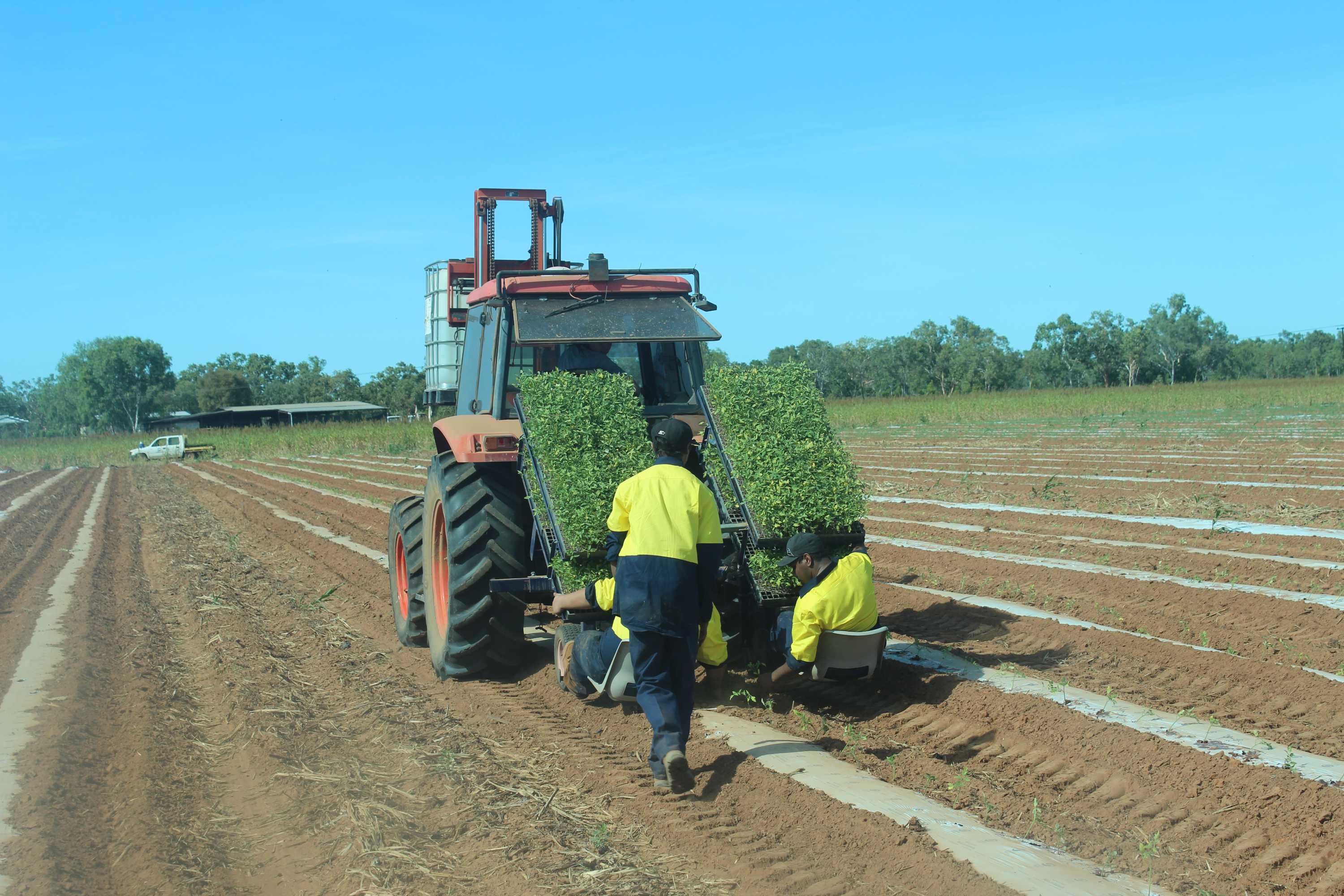 Territorians urged to raise northern development ideas - ABC News