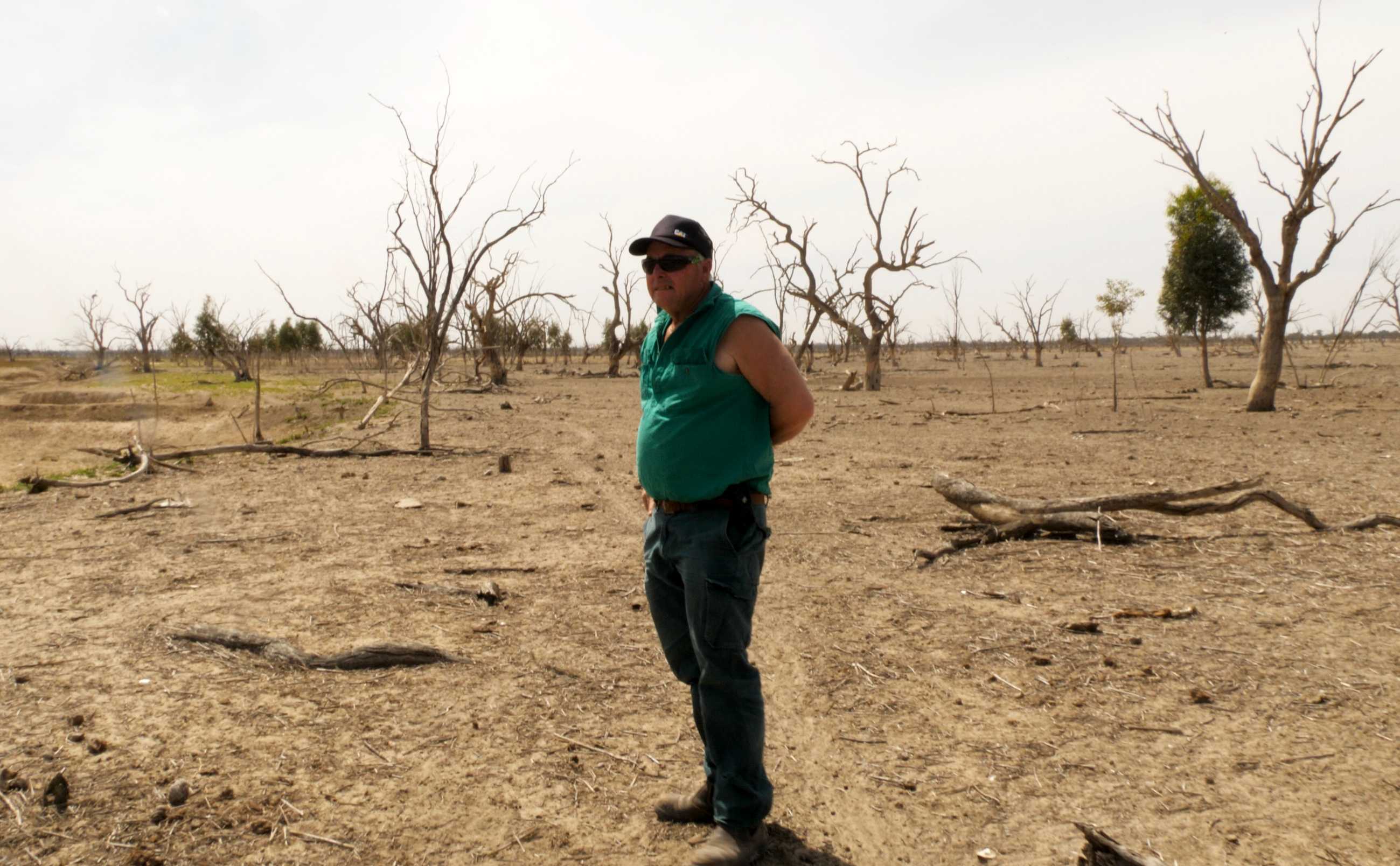 Millions of dead fish, dry rivers and lakes — so why have Menindee ...