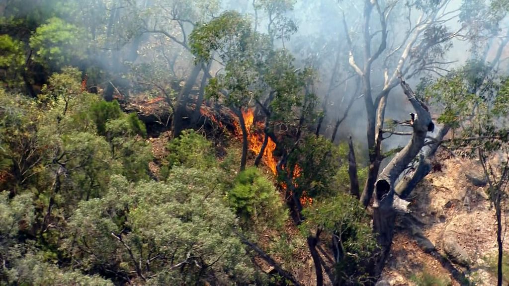 Light plane crash in bushland near Appin sparks grassfire - ABC News