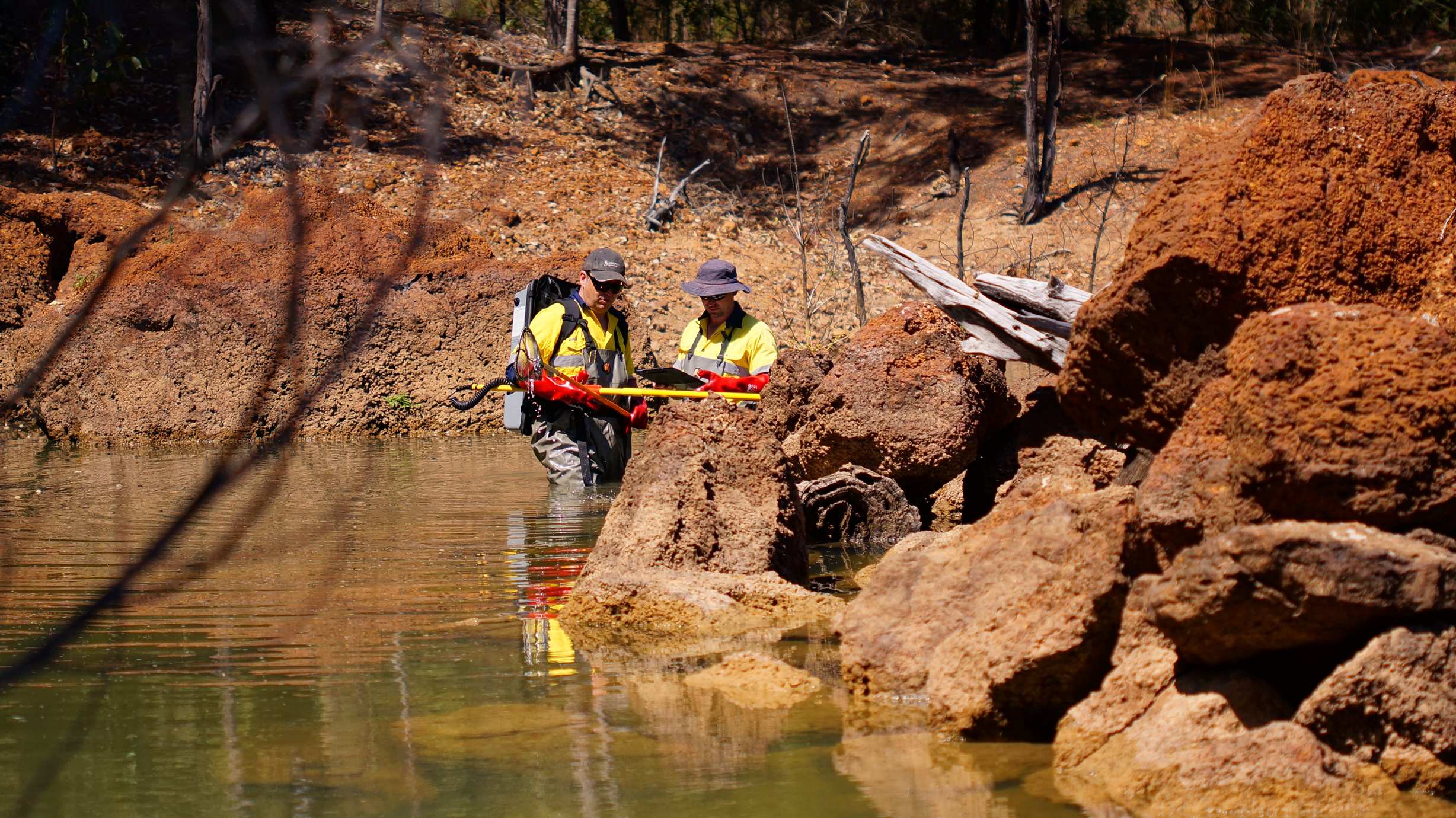 Conservation group helping nature reclaim WA's oldest mine site at ...