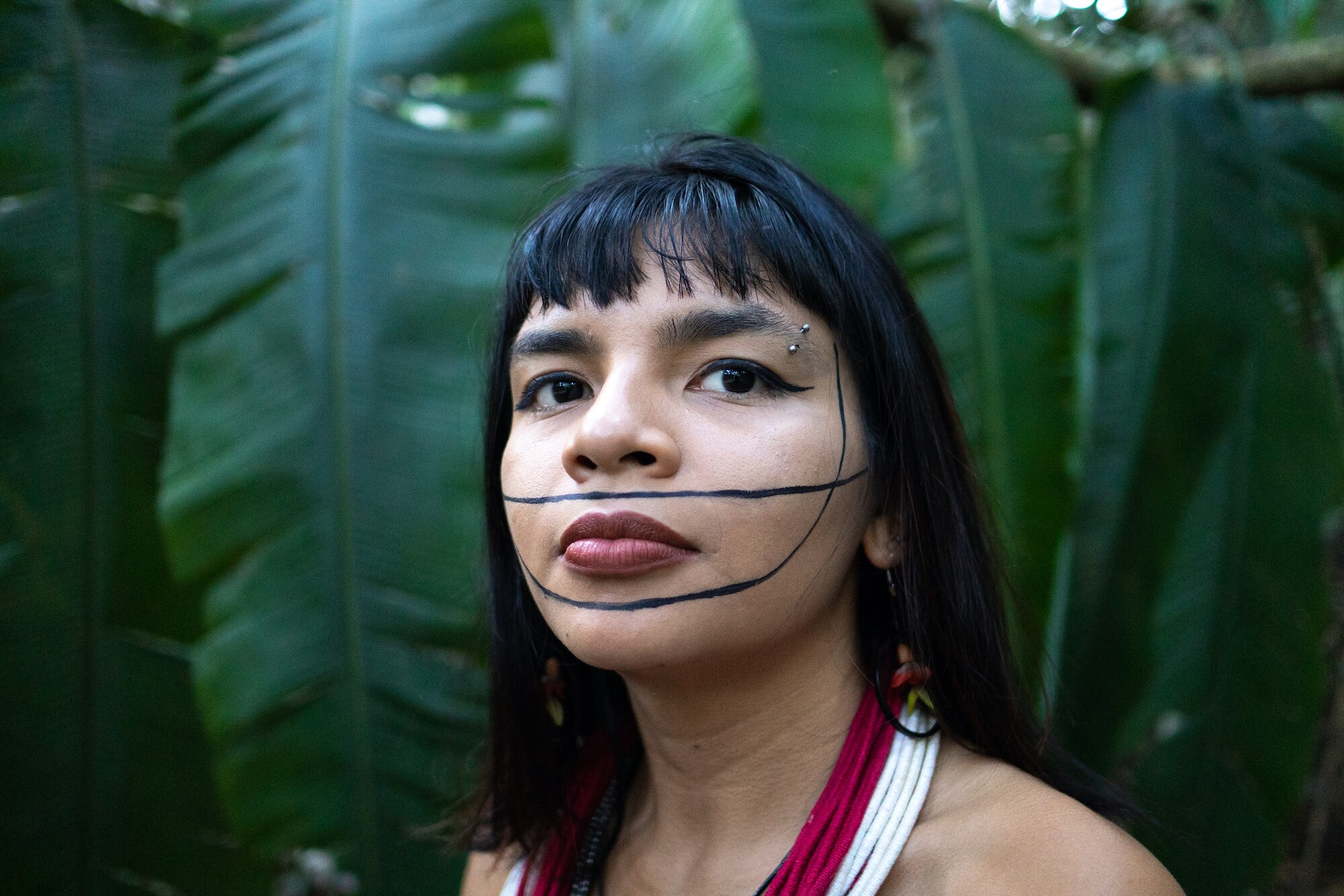 'We are the last generation that can save the Amazon': The Territory ...