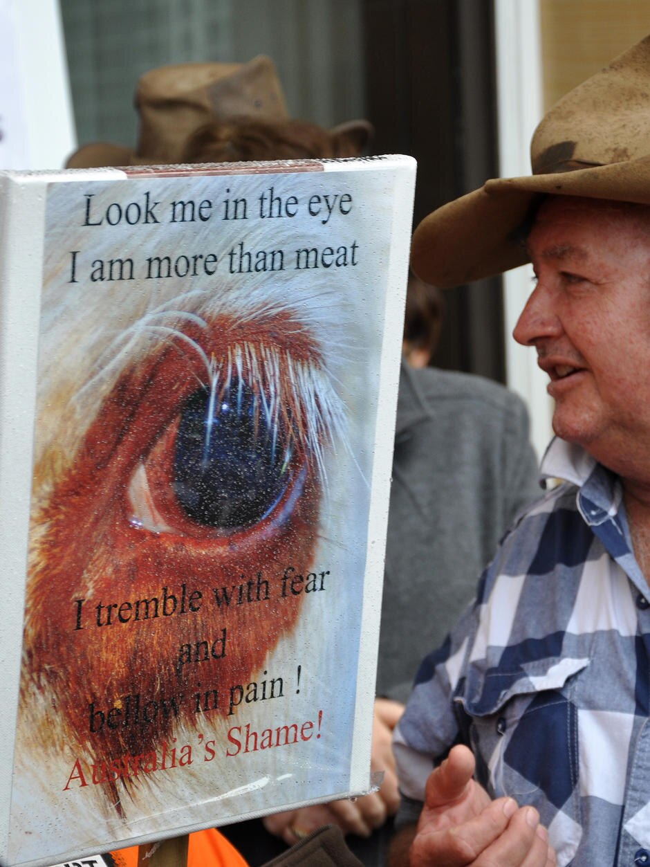Farmers, activists face off in live export rally - ABC News