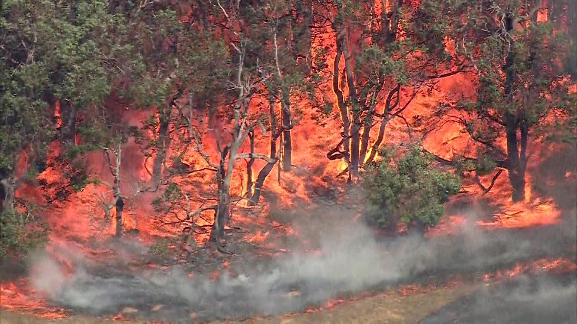 Bushfire emergency warning lifted after blaze engulfs property near ...