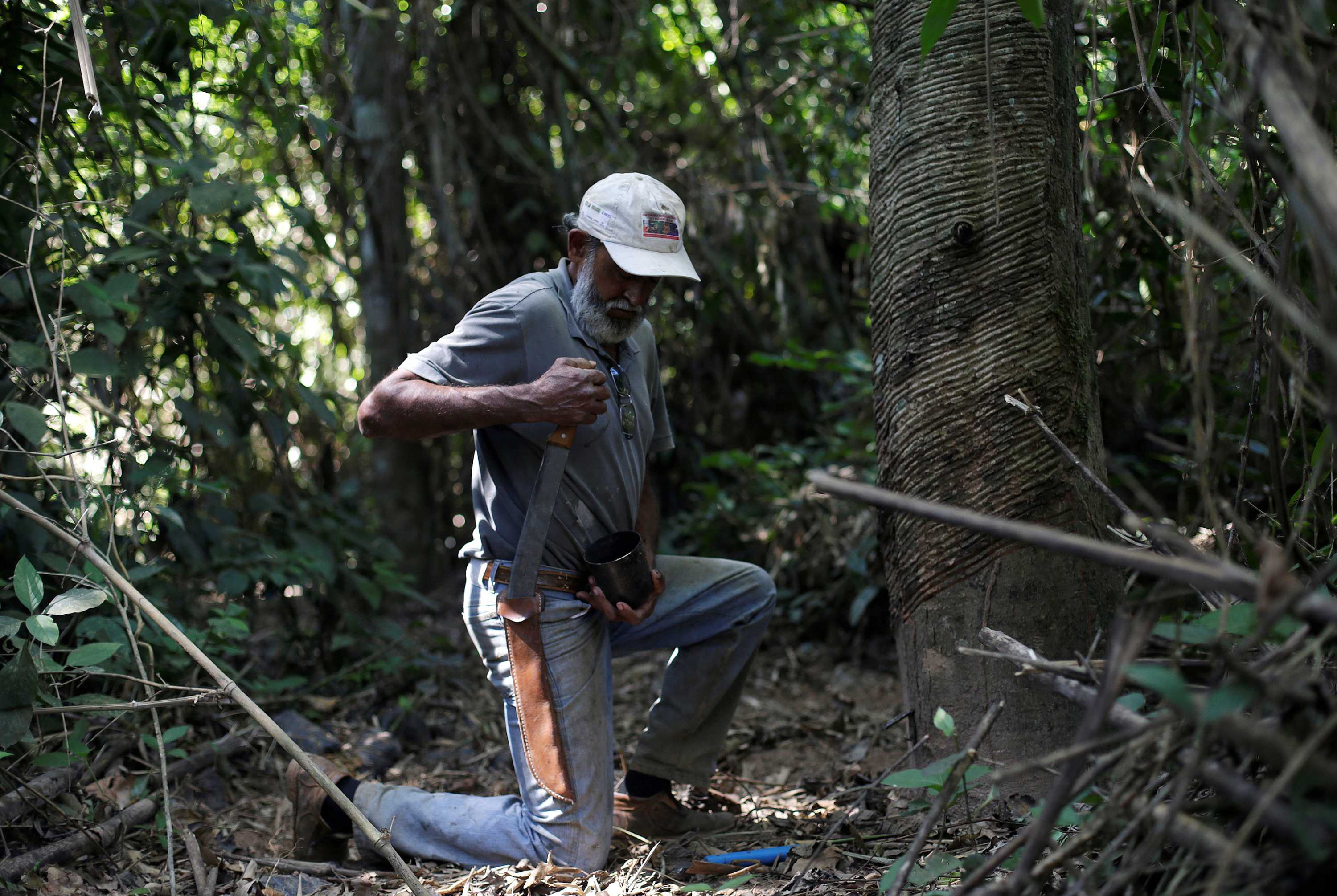 Meet the Amazon rubber tappers providing forest-friendly condoms for ...