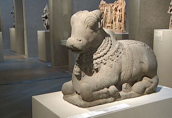 Packer cattle stations inspire gallery acquisition - ABC News