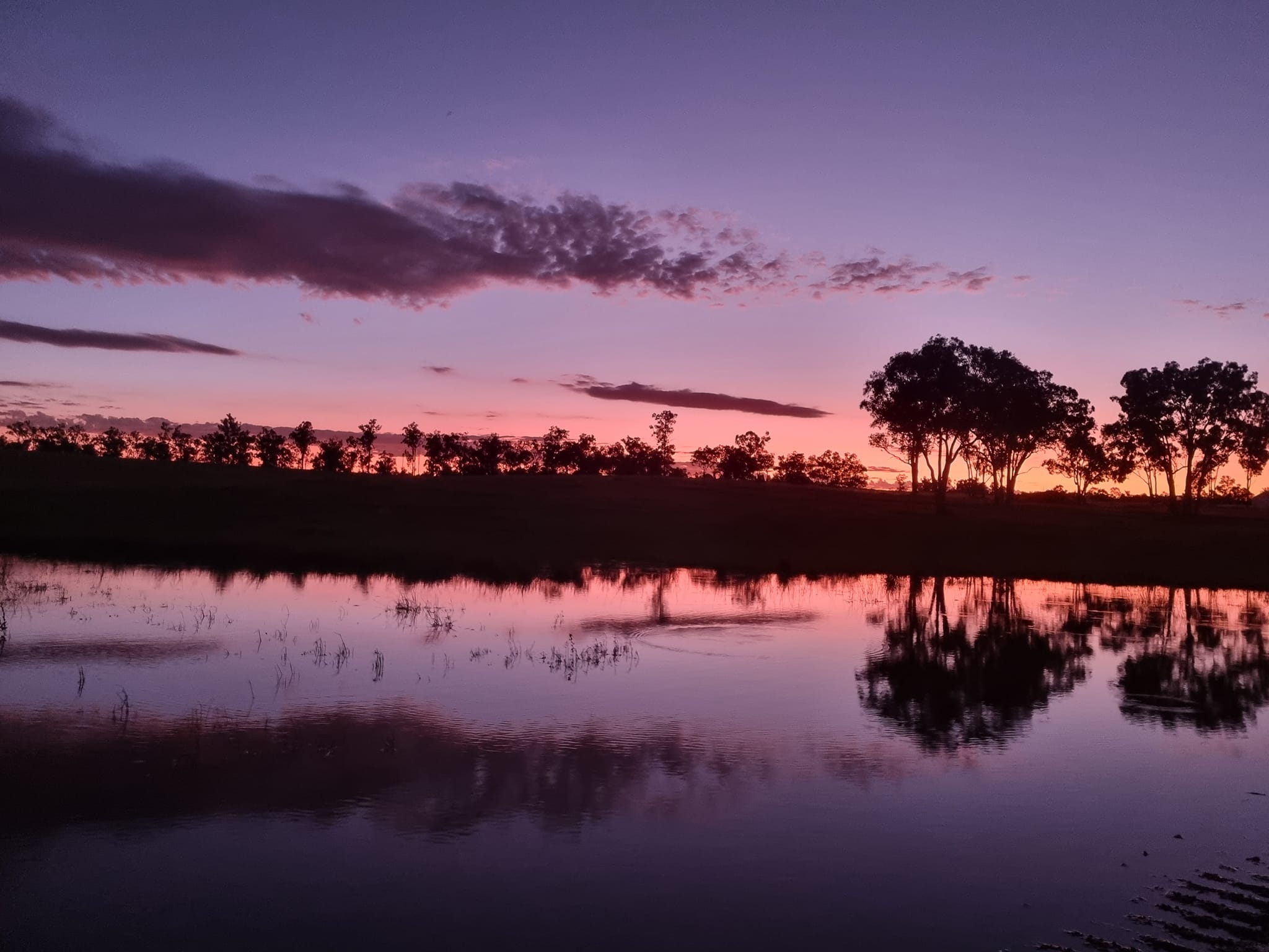 Lillian Rangiah - ABC News