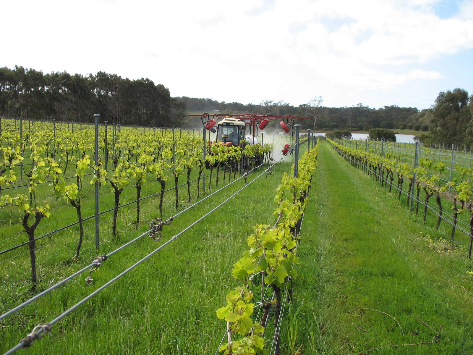 Queensland producers seek 'right to farm' protection amid urban sprawl ...