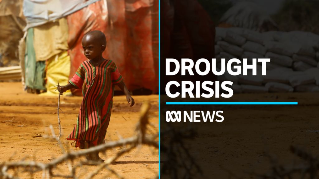 Poverty - Topic - ABC News