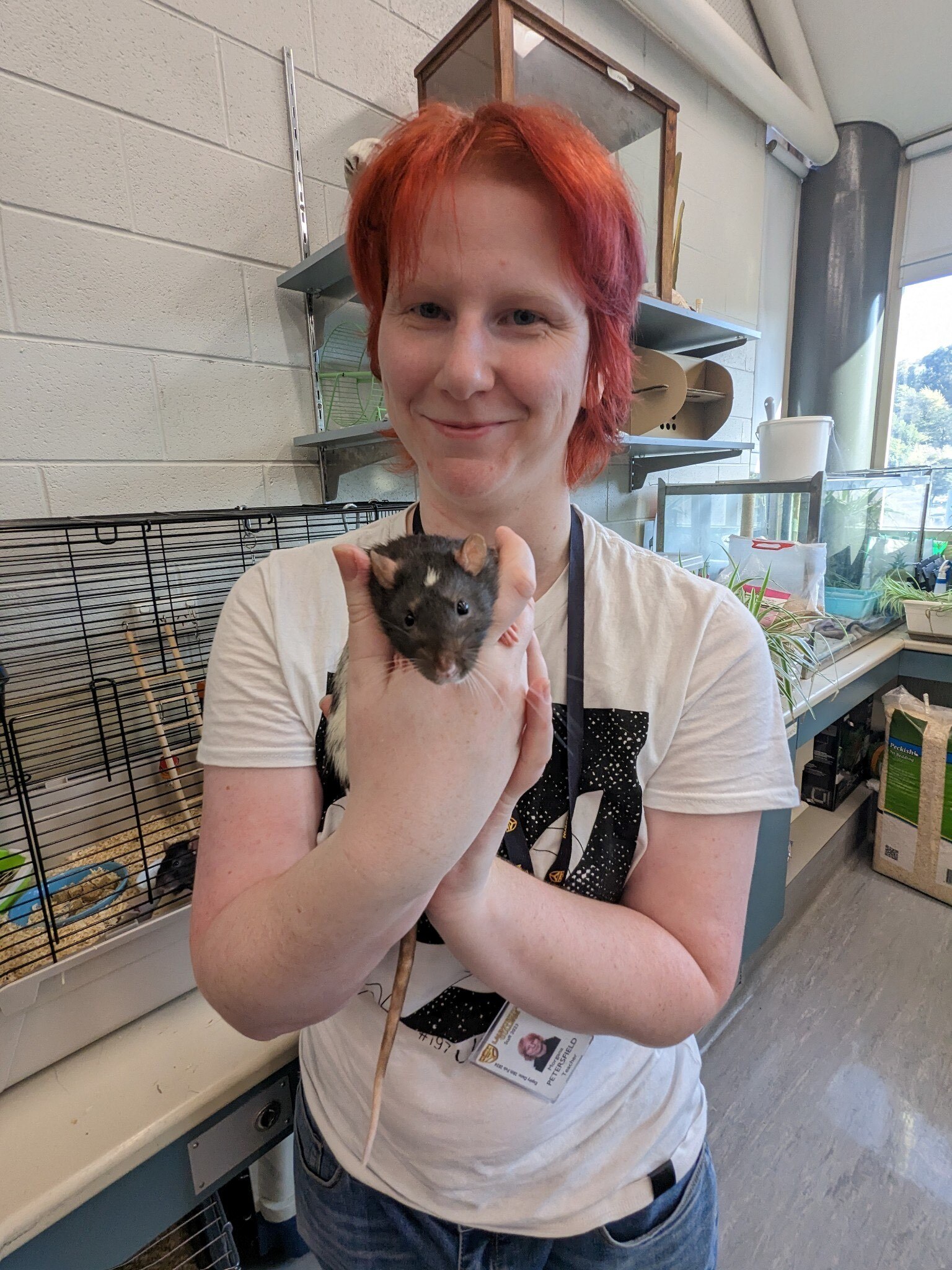 The joy of a pet rat - ABC listen