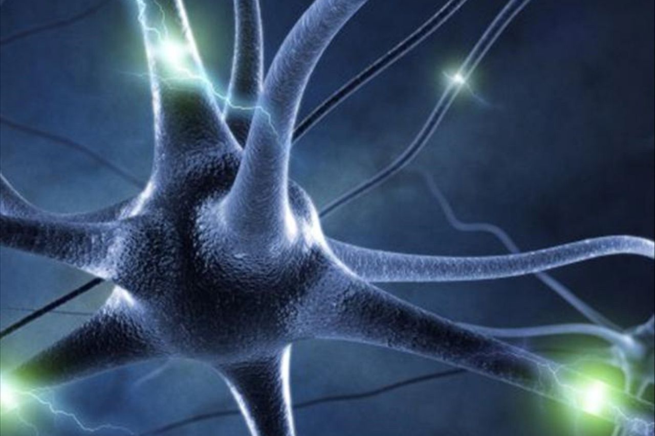 Serotonin 'brain map' set to revolutionise anti-depressant treatments ...