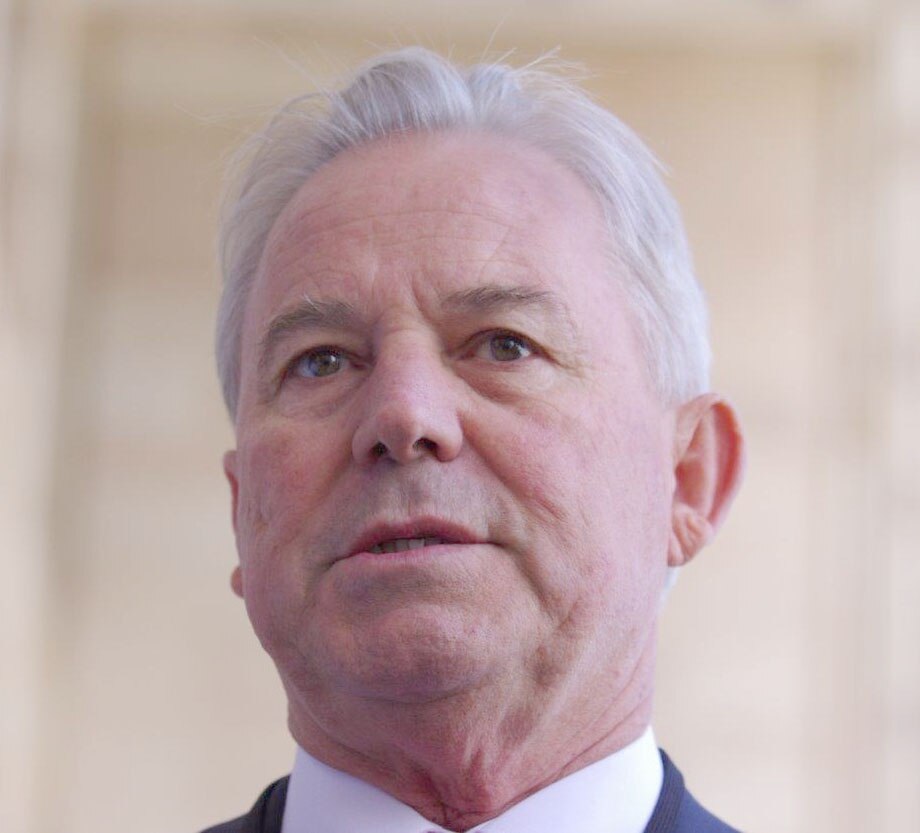 One Nation's WA leader says keeping party together and not repeating ...