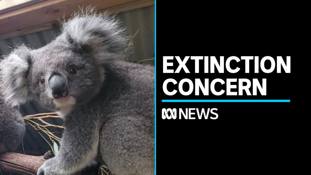 Which species are most in danger of extinction? - ABC News