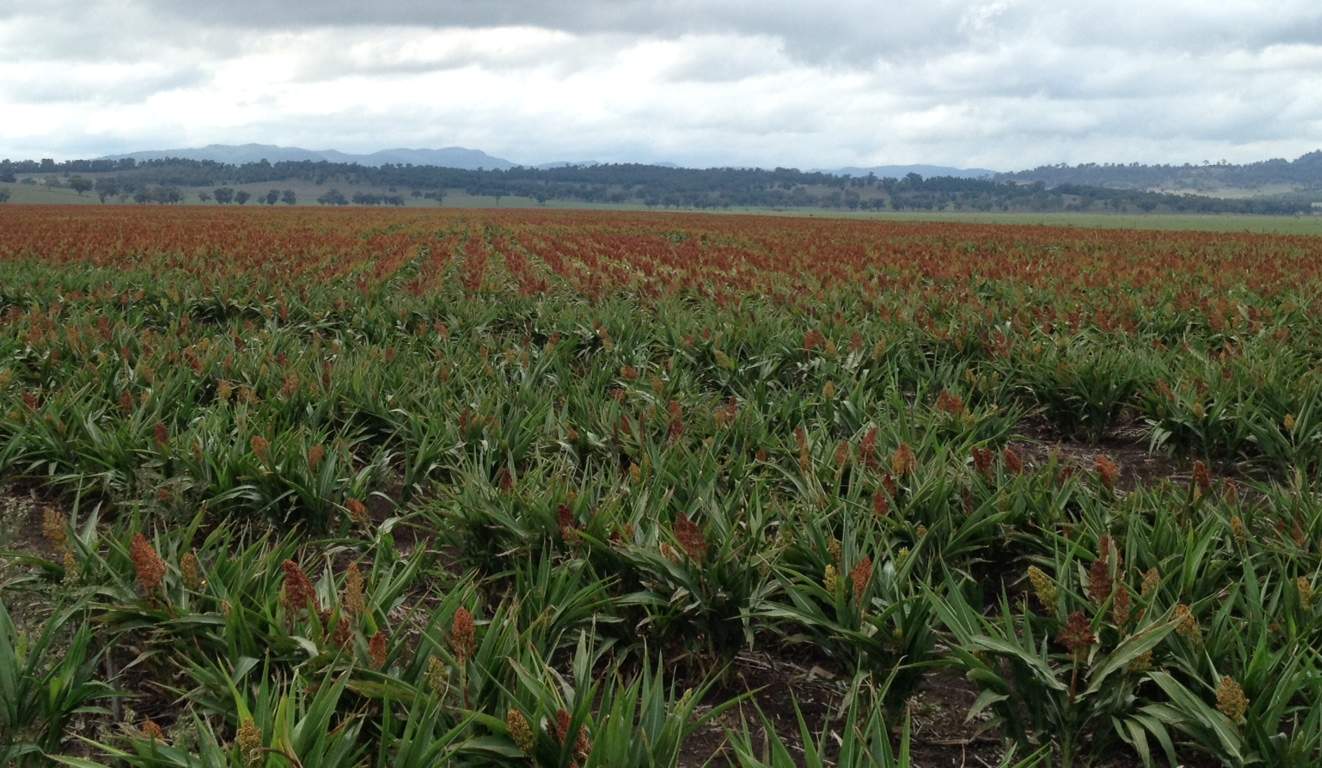 Spring Ridge - 2343 - Location - ABC News