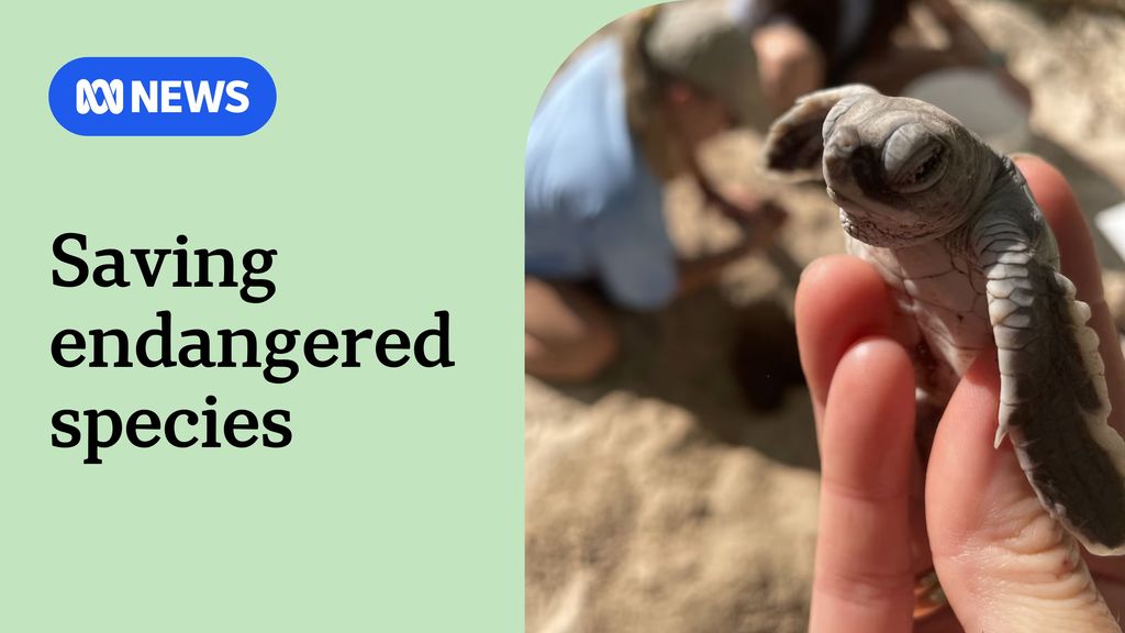 CSIRO strategies to help threatened species adapt to climate change ...