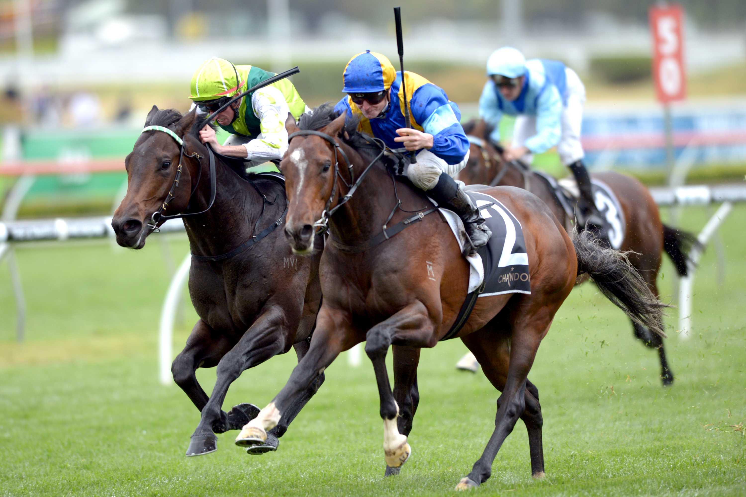 Spring Champion win a Dundeel - ABC News