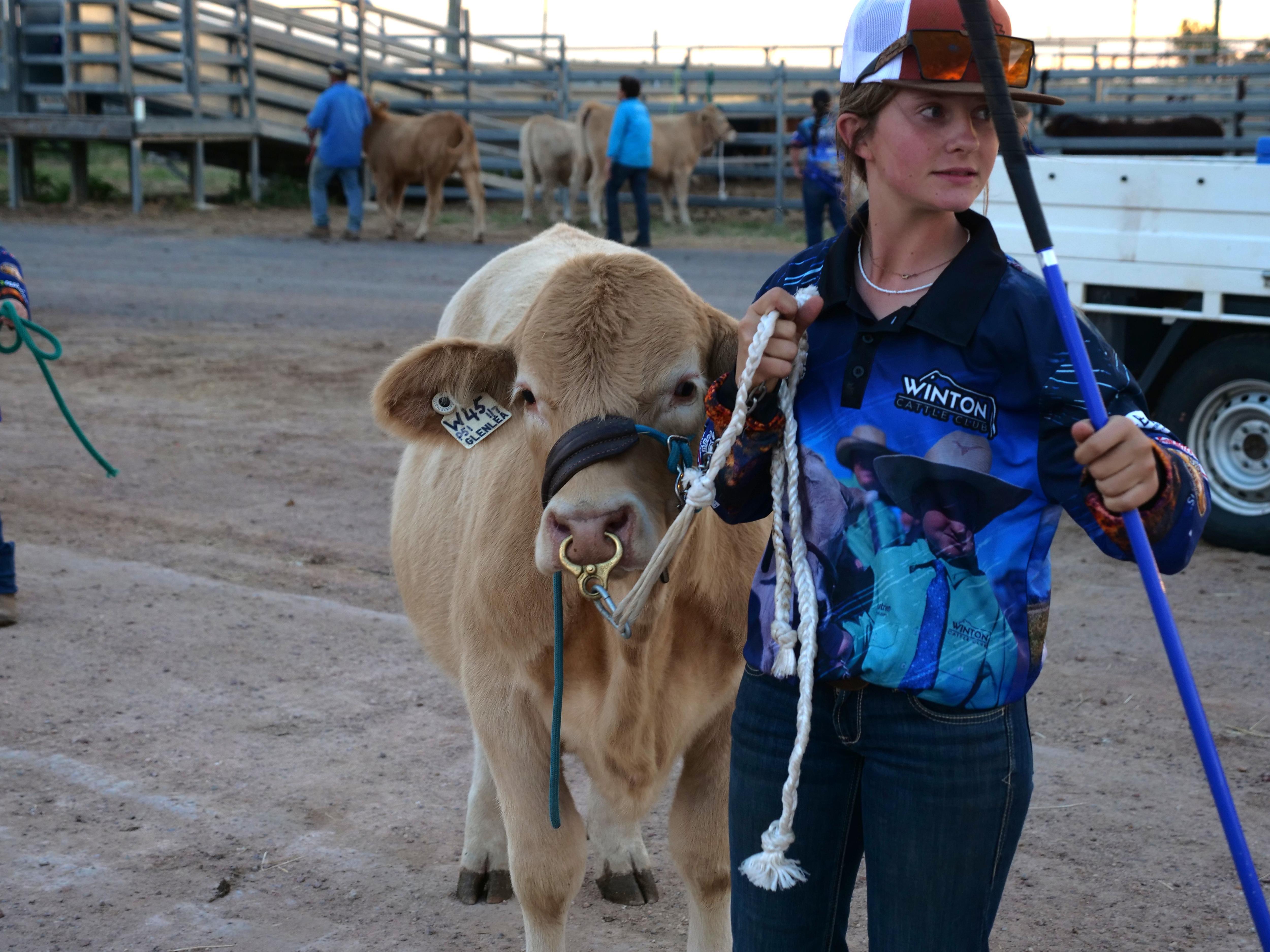 Country kids learn to show cattle - ABC listen