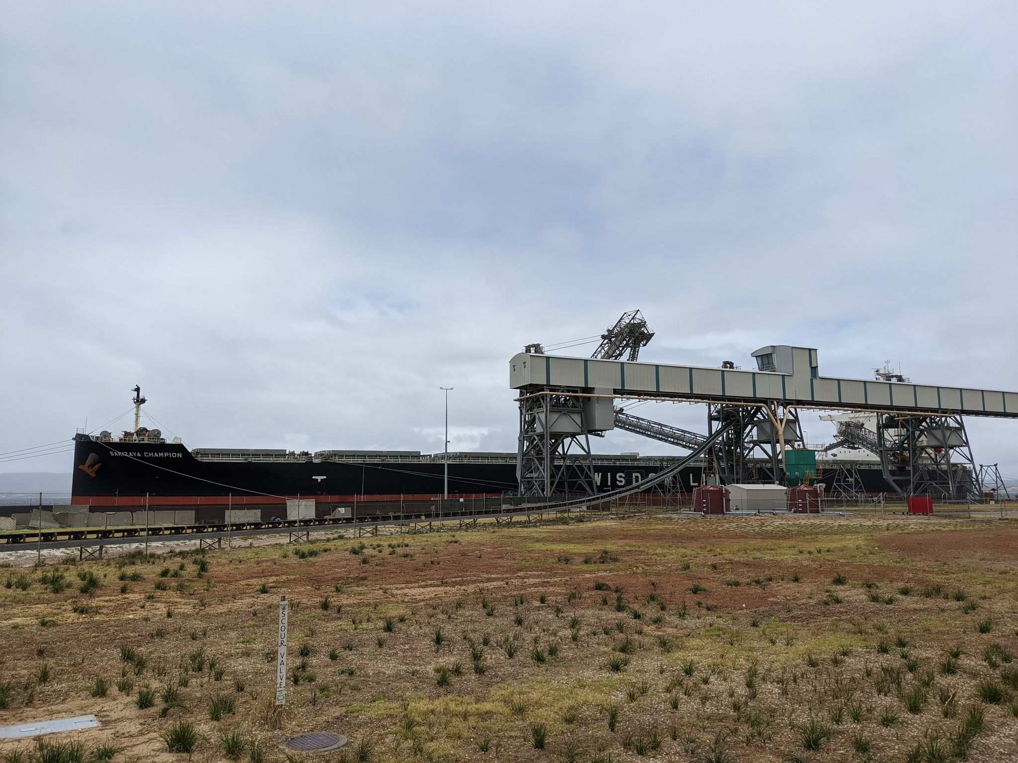 Man charged after allegedly jumping off bulk carrier in Albany ...