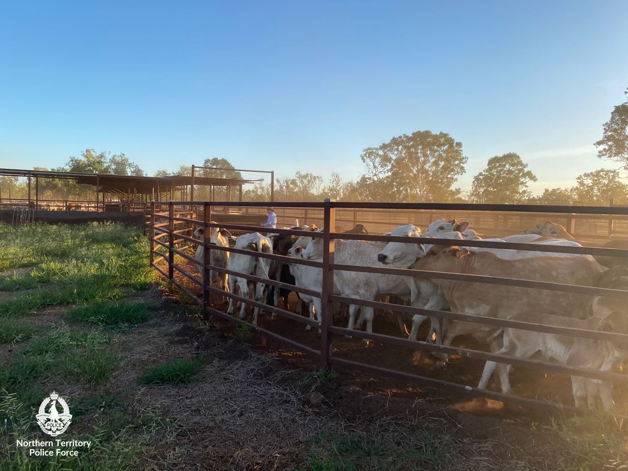 NT Country Hour - ABC listen