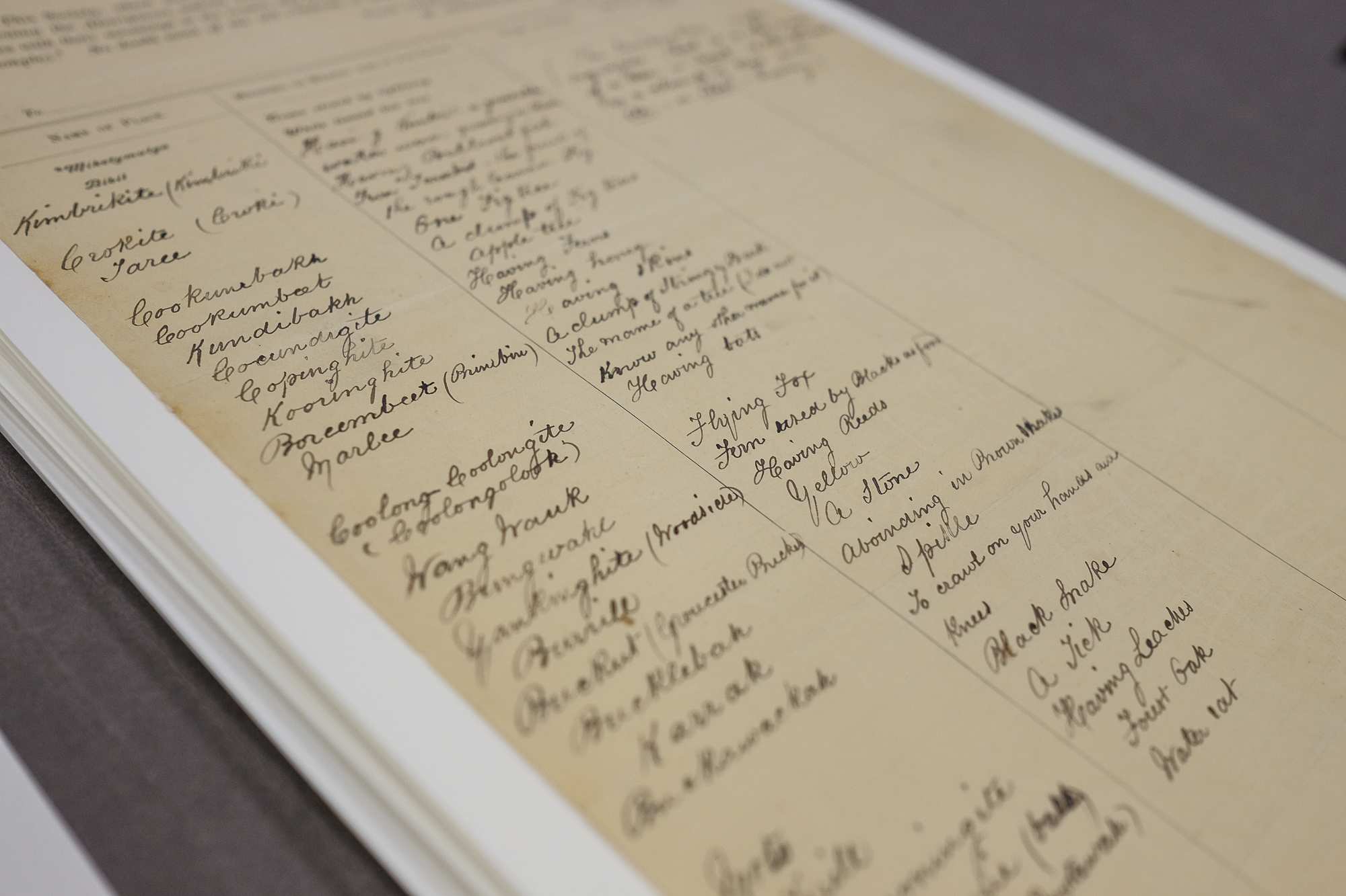 Lost Indigenous languages being revived by State Library of New South ...