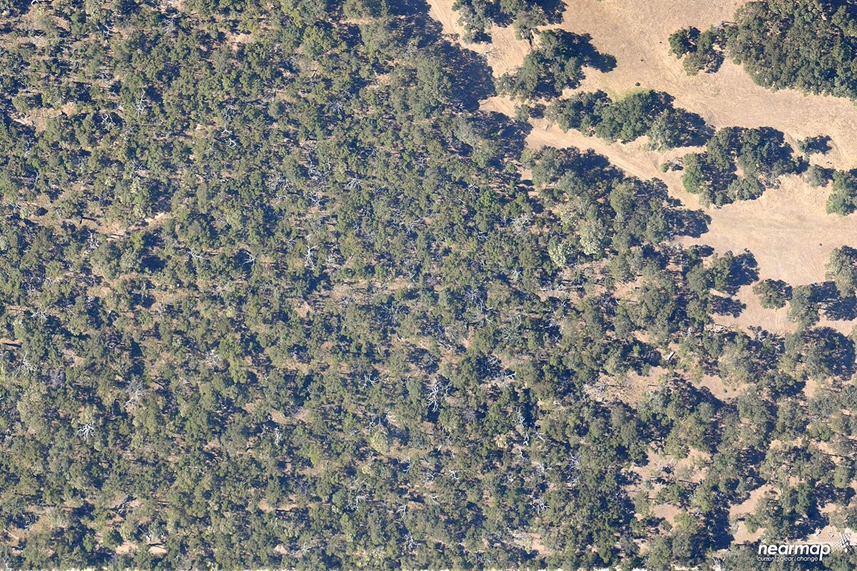 Yarloop bushfire before and after: Aerial photos reveal raw power of WA ...