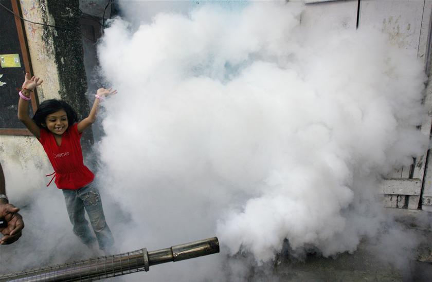 Climate change impact on malaria questioned - ABC News
