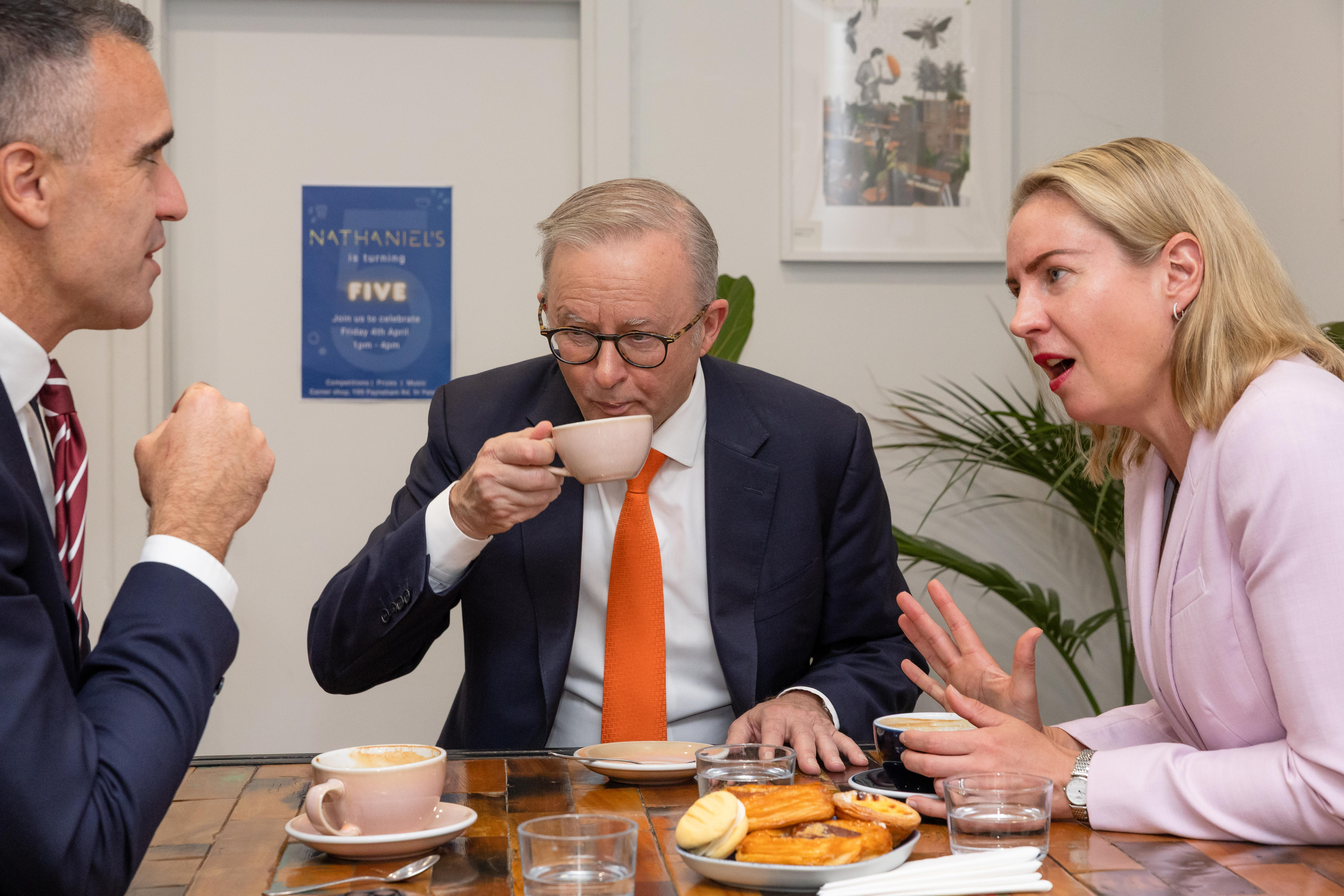 Labor claims marginal seats of Sturt and Boothby in 2025 federal ...