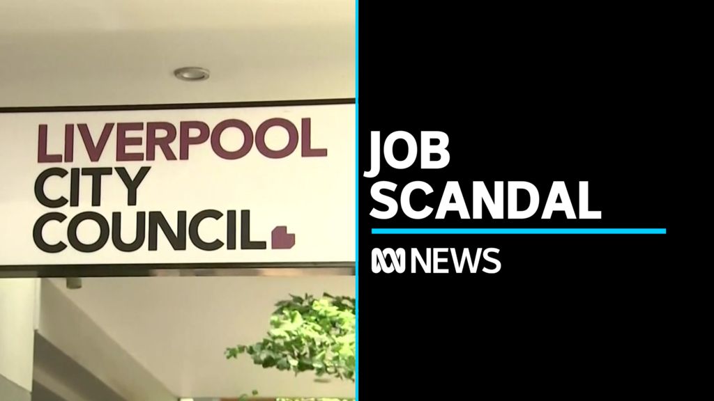 Calls to investigate former Liberal MP's council job - ABC News