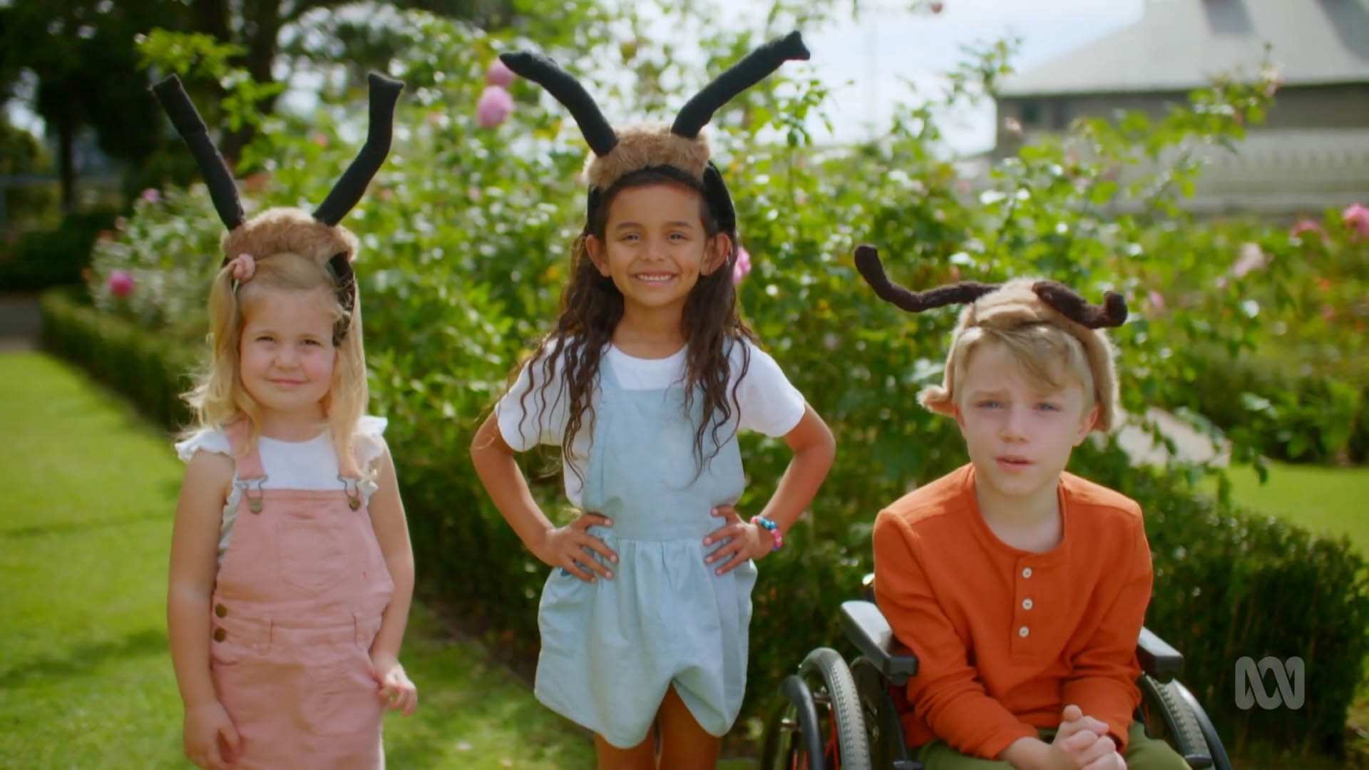 Native Bees - ABC Kids